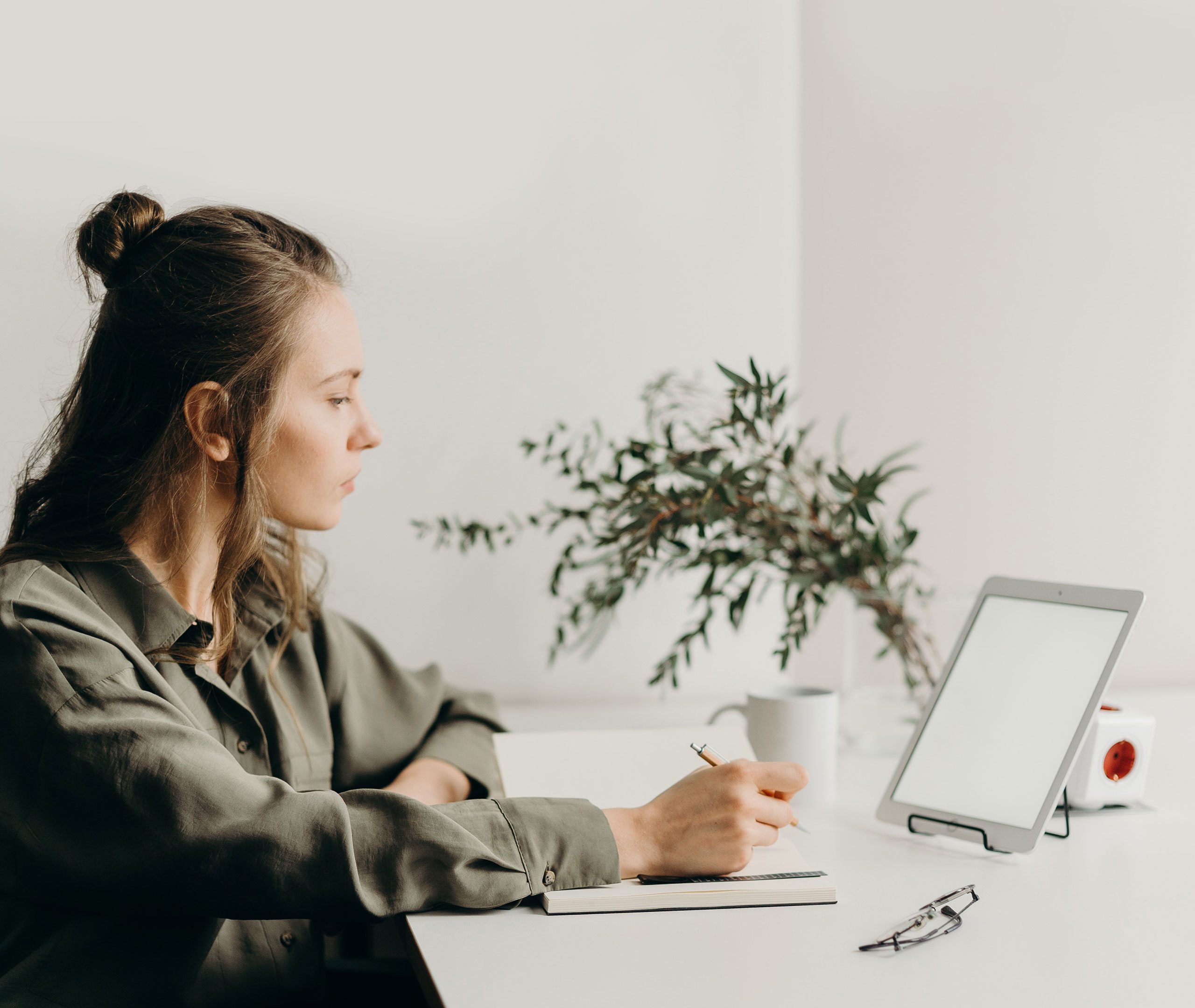 Mentorship – CivicBridges